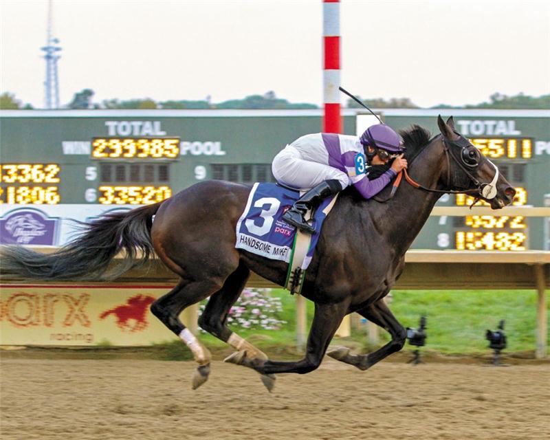 Stallions-HandsomeMike | Pleasant Acres Stallions