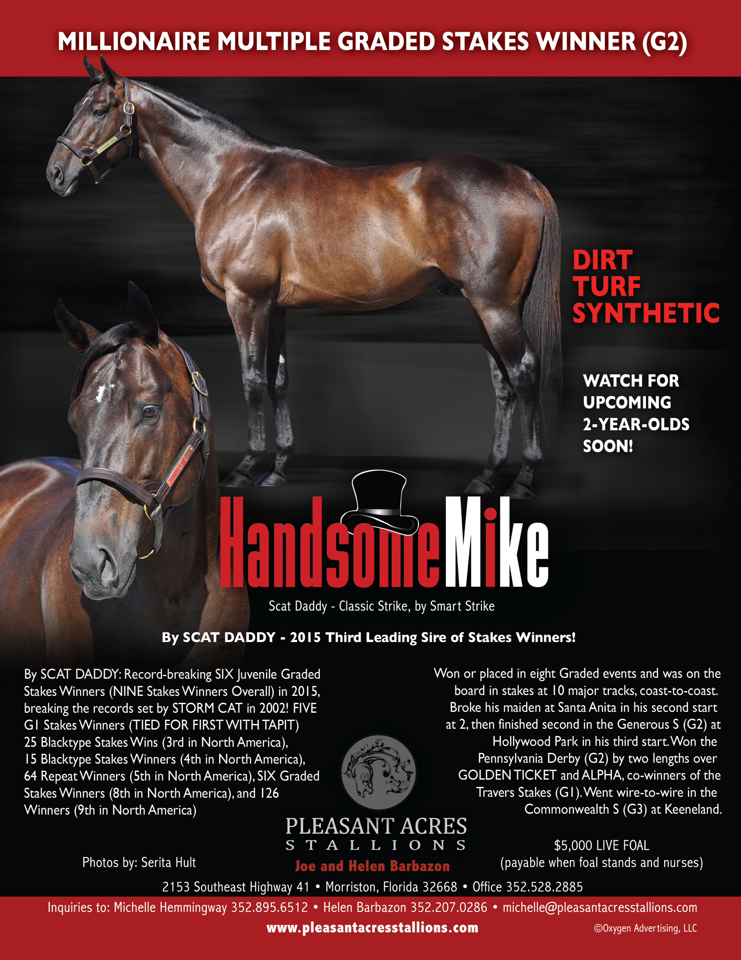 Handsome Mike | Pleasant Acres Stallions