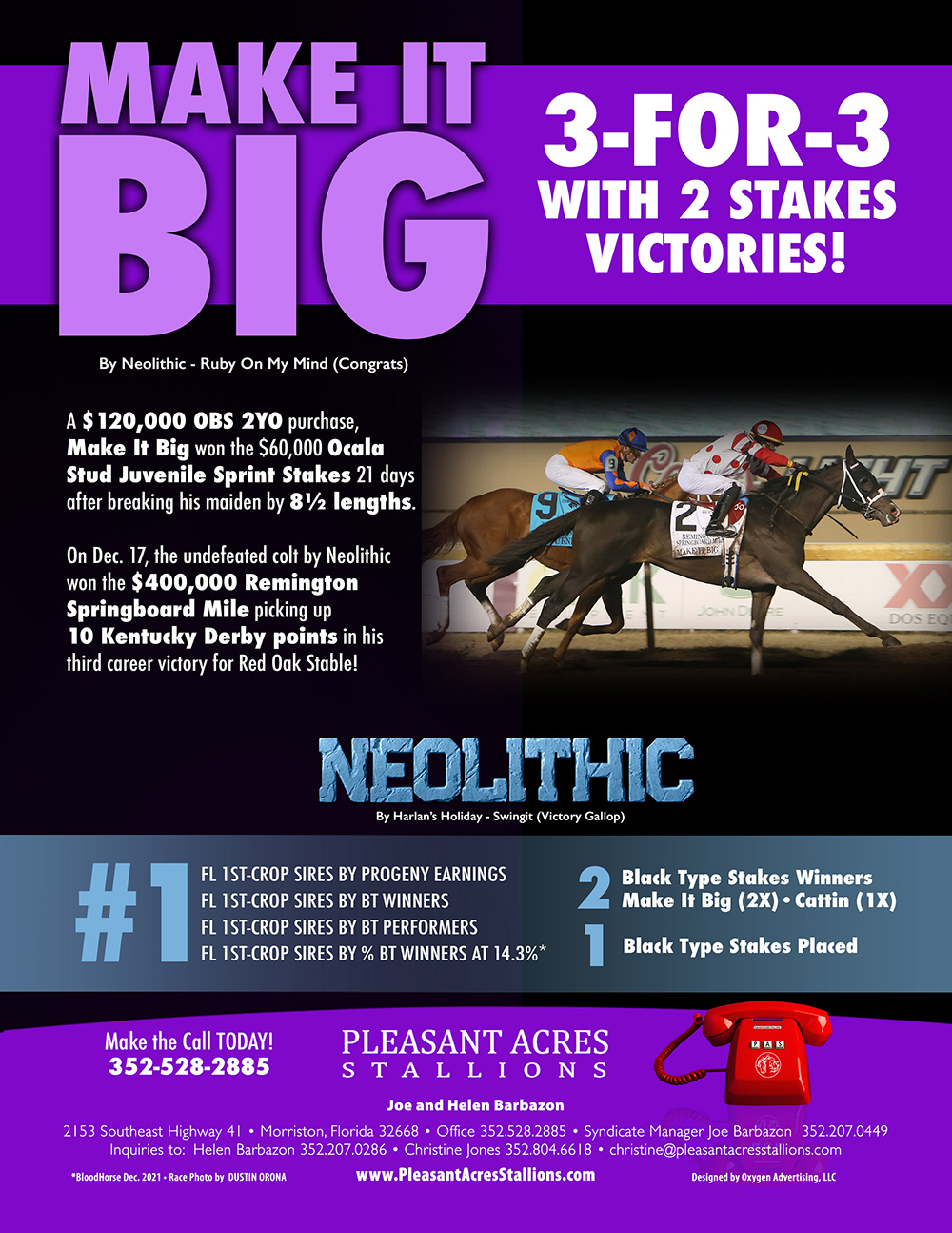 Neolithic-2021-MakeItBig-Ad | Pleasant Acres Stallions