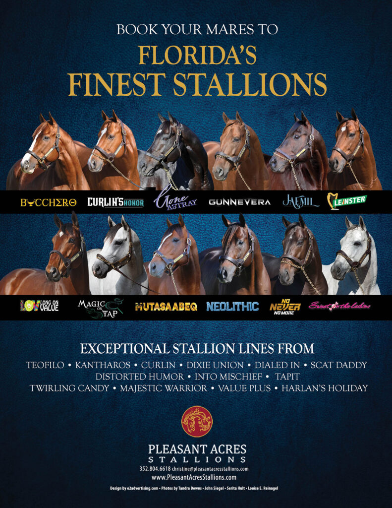 Ocala Stallion Breeder, Thoroughbred Breeding, Mare Care, Yearling