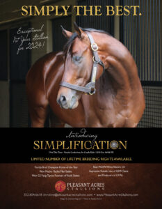 Simplification Ads